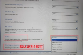 联想Y7000 Y9000 2021版本BIOS解锁及内存GEAR1设置超频 - 哔哩哔哩