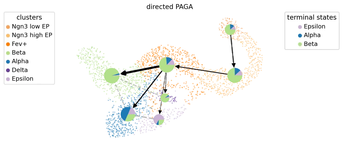 【单细胞测序】RNA velocity分析：cellrank - 哔哩哔哩