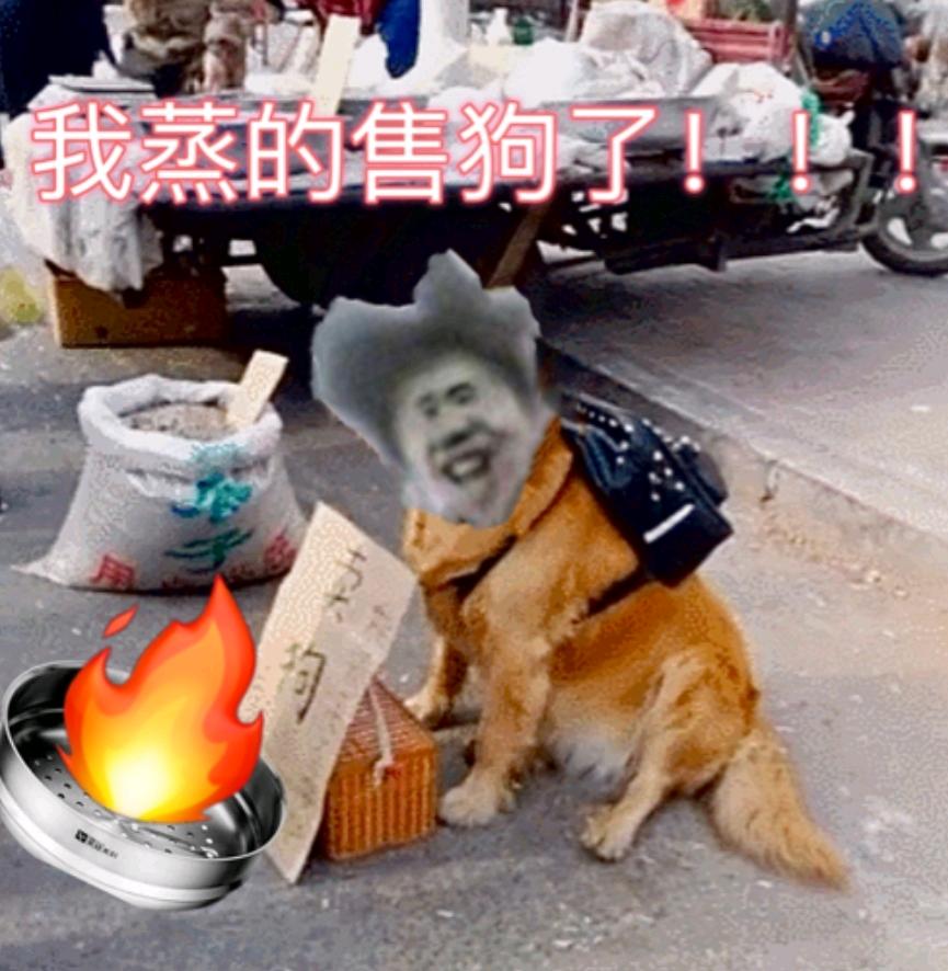 【ikun】蔡徐坤表情包第六弹！ - 哔哩哔哩