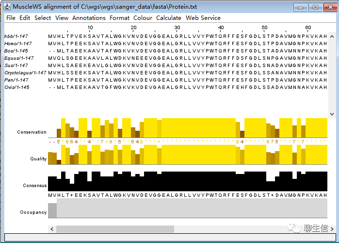 多序列比对软件Jalview的安装及使用体验 - 哔哩哔哩
