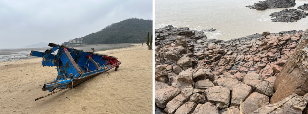 99元/1000次下载！PBRMAX全新个人版订阅预售开启 - 哔哩哔哩