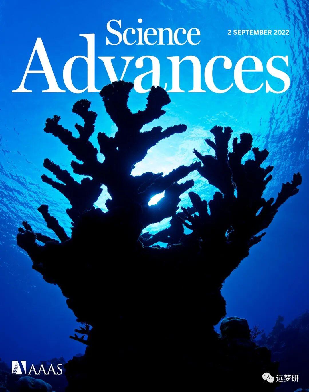 【标题速读】【Sciadv】【2022年】【9月】 - 哔哩哔哩