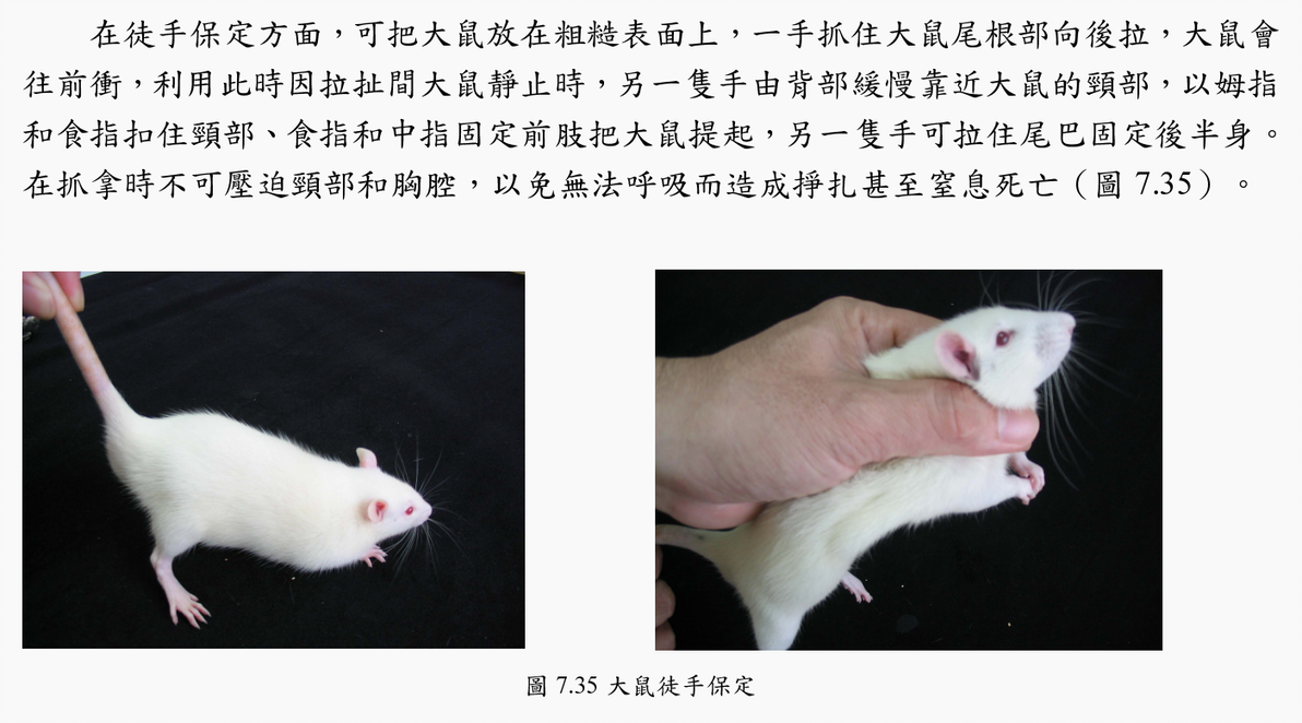 眼科实验动物学——大、小鼠 精简版（一） - 哔哩哔哩