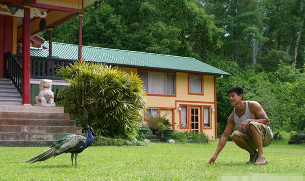 VAN漾（Van Darkholme）写真和简介和生活照片！ - 哔哩哔哩