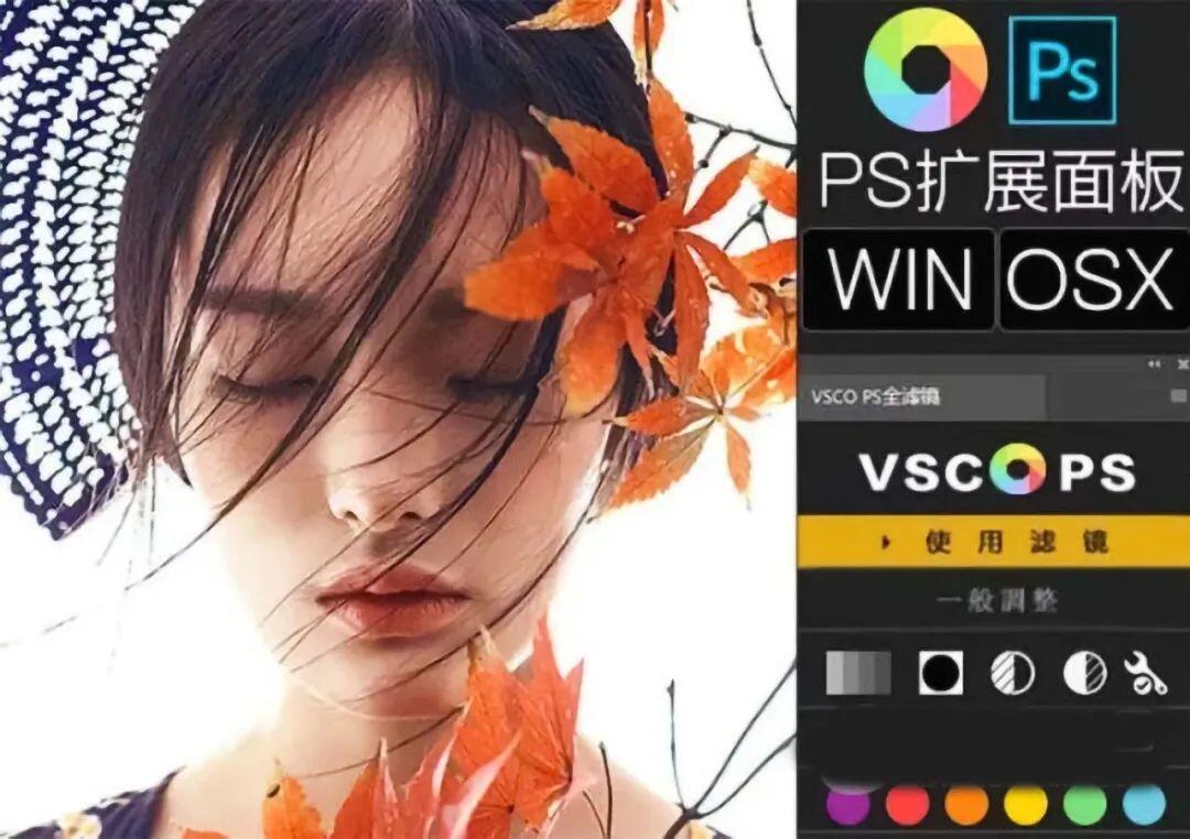 Vsco全滤镜ps插件汉化版，支持Win/Mac系统 - 哔哩哔哩