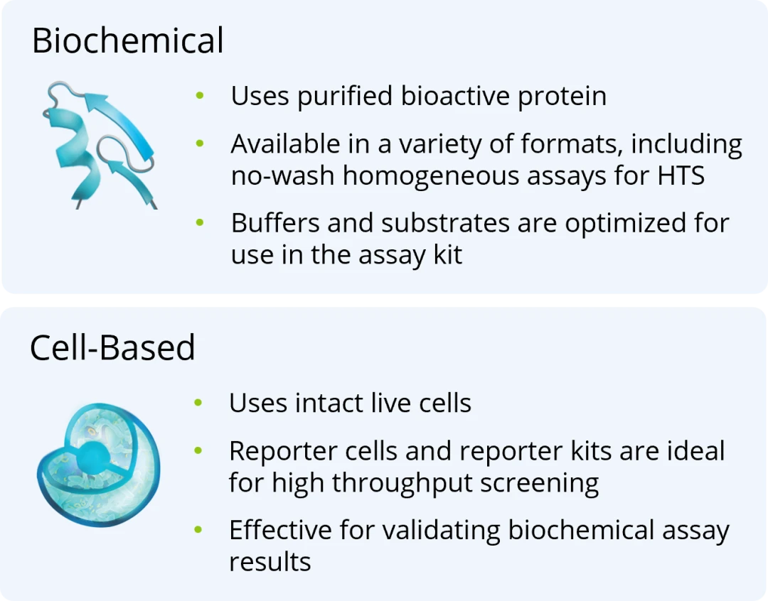 BPS Bioscience的化合物筛选和检测服务 - 哔哩哔哩