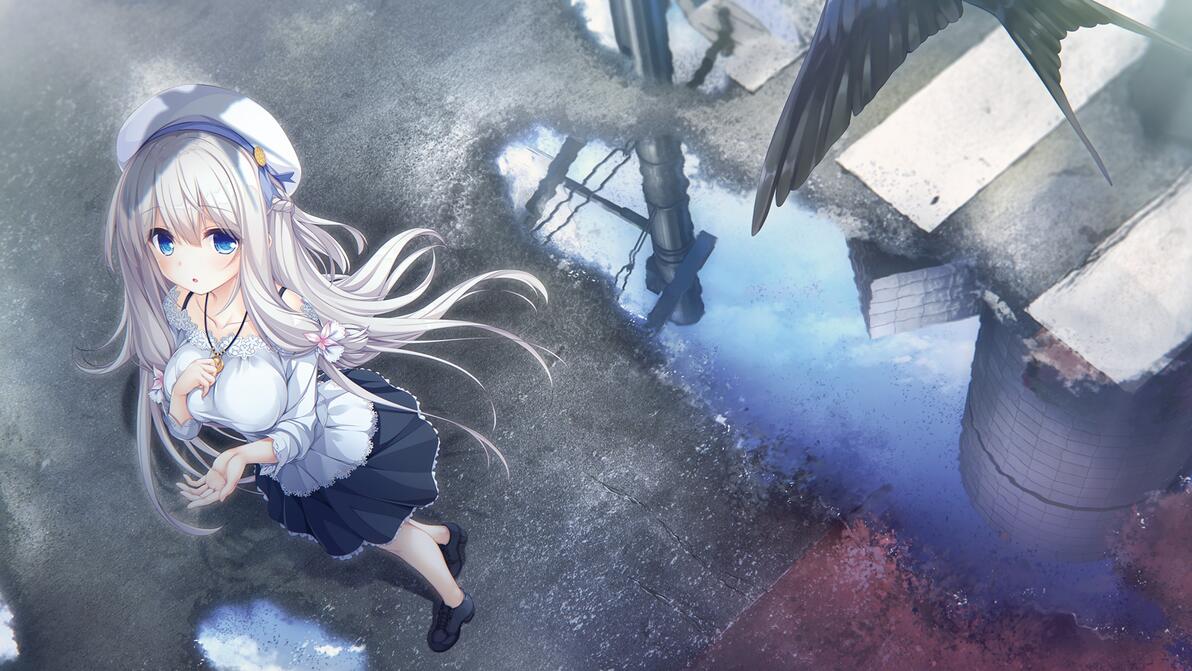 [CG]《Pieces/候鸟的梦》及FD - 哔哩哔哩