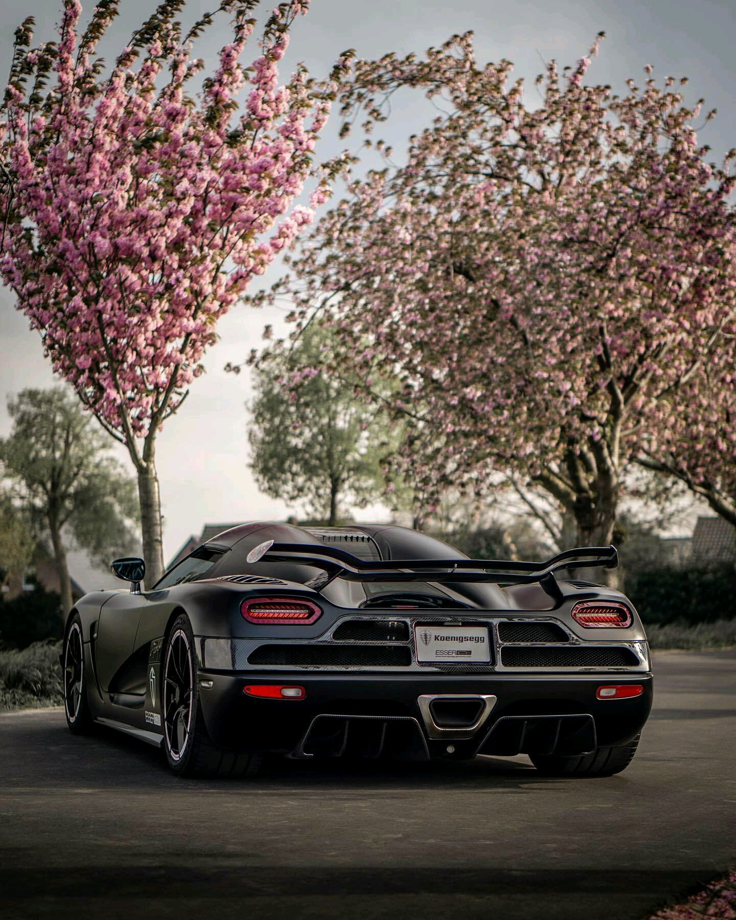 柯尼塞格Agera X 7088 - 哔哩哔哩