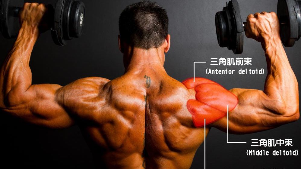 拯救你的肩膀：ITYW肩膀热身法+后束肌肉锻炼必备动作 - 哔哩哔哩