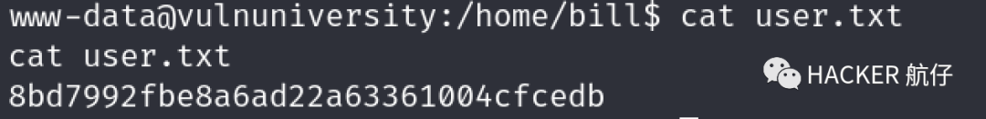TRY HACK ME｜Vulnversity 靶场全演练 - 哔哩哔哩