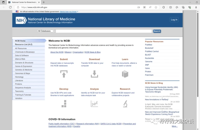使用“NCBI”设计引物序列及引物比对 - 哔哩哔哩