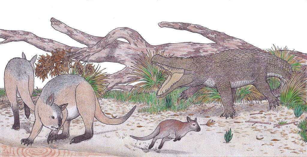 以诺托鳄类为代表的陆栖鳄 - 哔哩哔哩