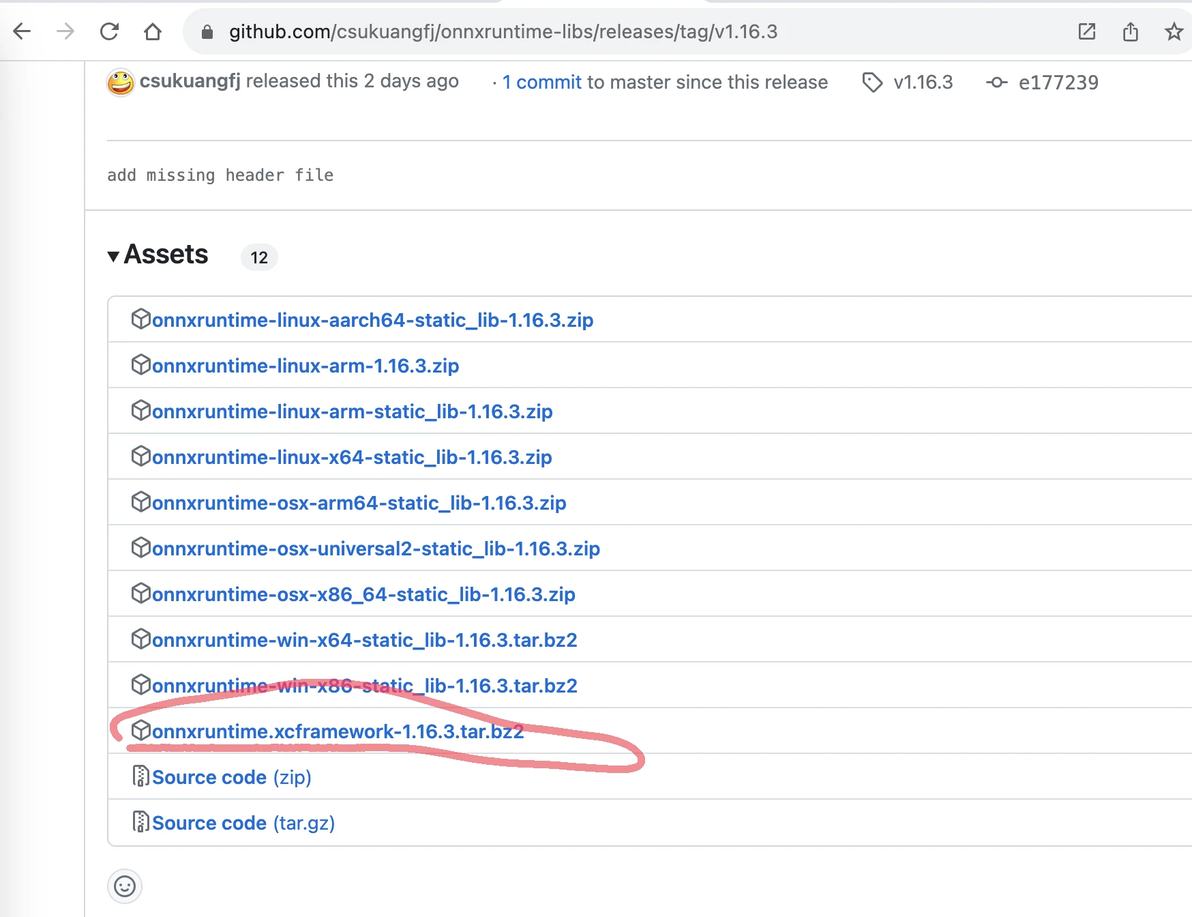 手把手教你如何下载 onnxruntime 静态库 - 哔哩哔哩