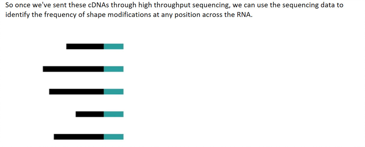 MIT 分子生物学 part3 5.7 Assays for RNA Structure,DMS-seq and SHAPE-s - 哔哩哔哩