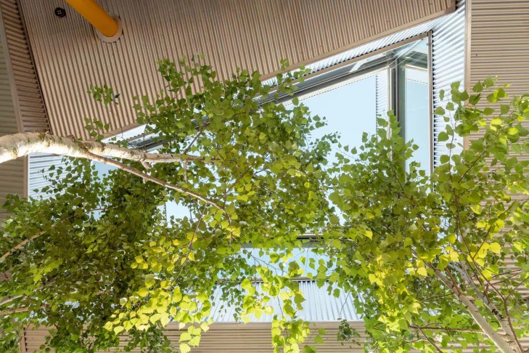 Renewal-Zone：对70年代旧建筑的围合与留白︱离地而起的革新住宅 - 哔哩哔哩