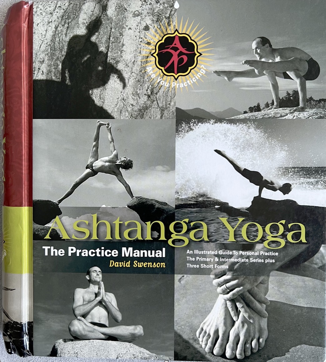 记2003年1月大卫·威廉姆斯（David Williams）在多伦多下犬瑜伽中心的工作坊 - 哔哩哔哩