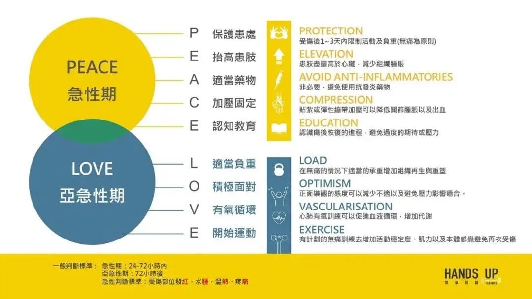 全方位软组织损伤管理从即时护理到后续管理的PEACE 和 LOVE原则 - 哔哩哔哩
