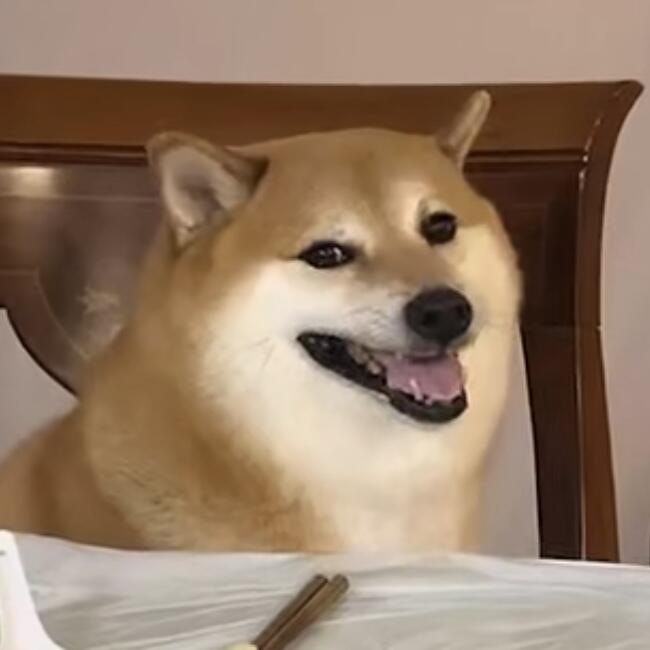 cheems本尊的一些头像（自截） - 哔哩哔哩