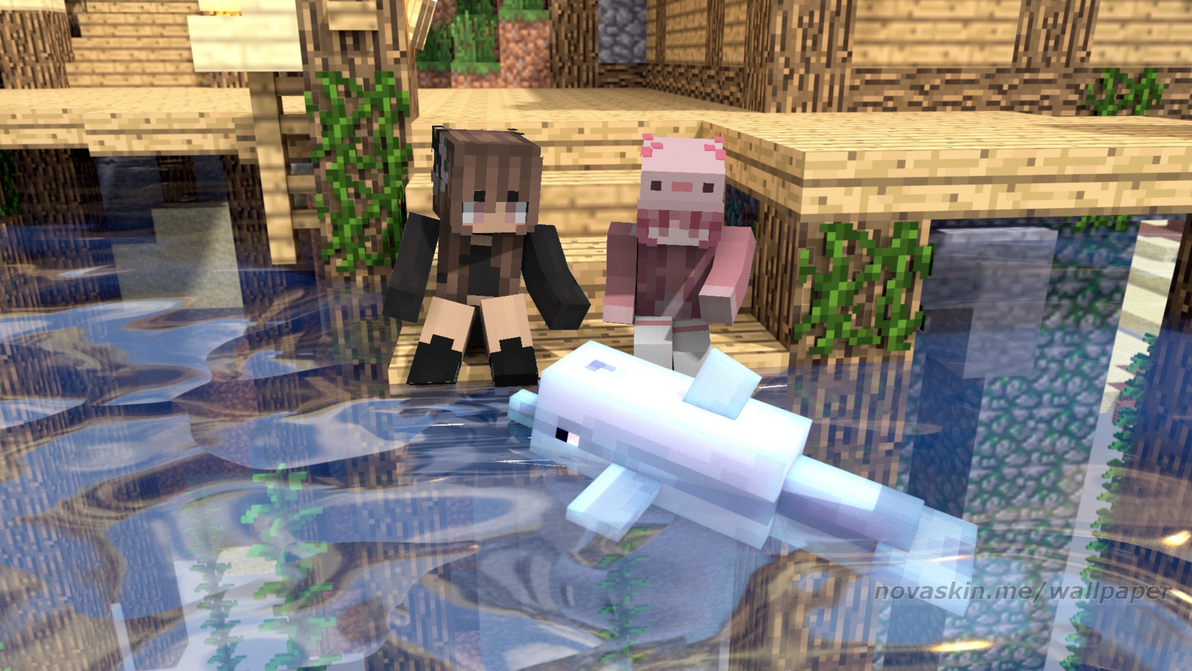 Nova Skin——一个有点好用的MC工具网站 - 哔哩哔哩