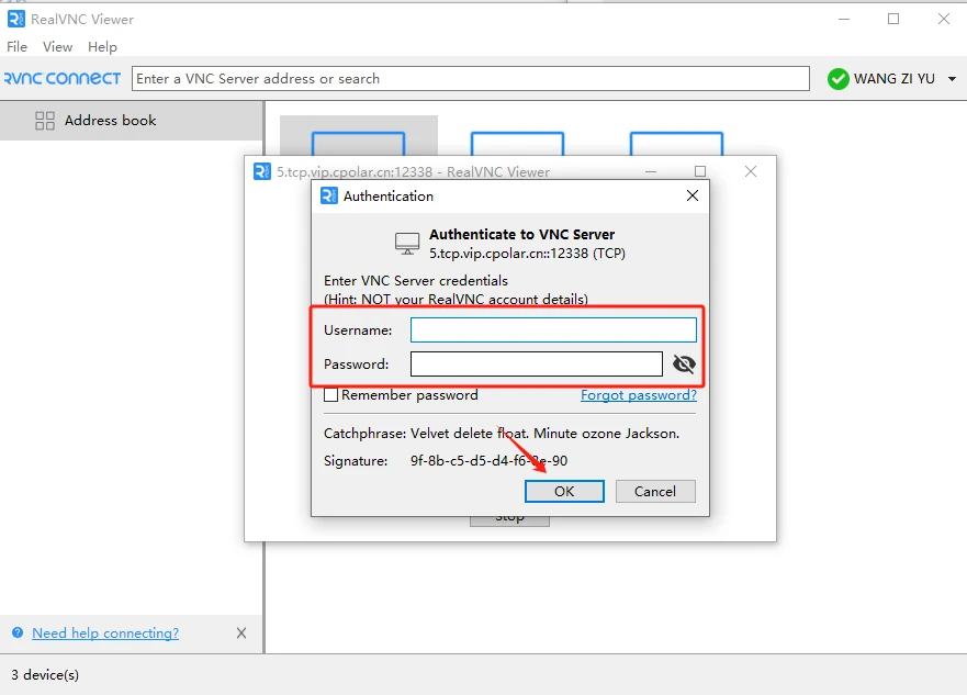 Windows电脑如何安装配置VNC远程连接本地局域网内树莓派 - 哔哩哔哩