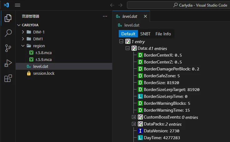使用 VSCode 查看和编辑 Minecraft 存档的 NBT 数据 - 哔哩哔哩