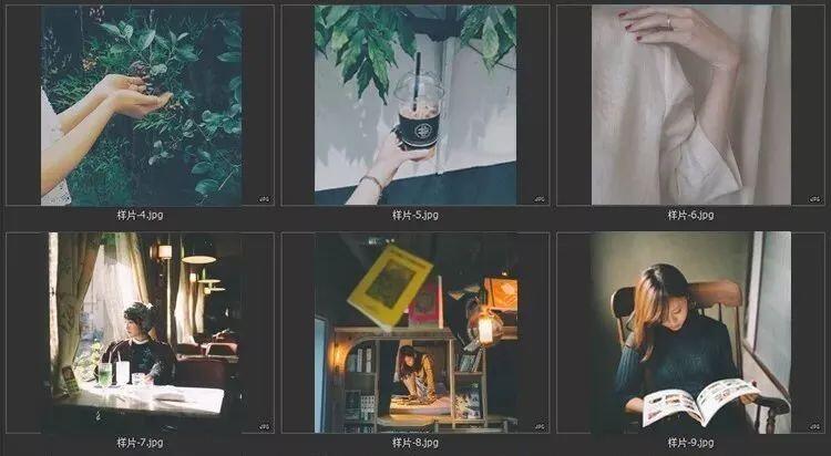 2023升级汉化版，内置676款滤镜，Vsco全滤镜ps插件，支持Win/Mac系统 - 哔哩哔哩