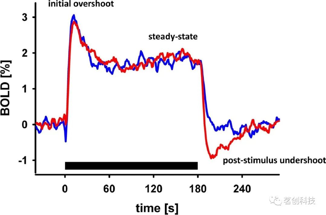BOLD信号的生理建模及其对有效连接的影响 - 哔哩哔哩