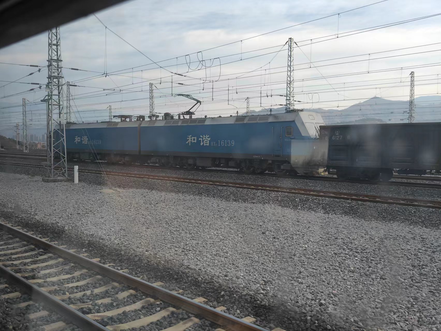 偶遇“蓝精灵” - 哔哩哔哩