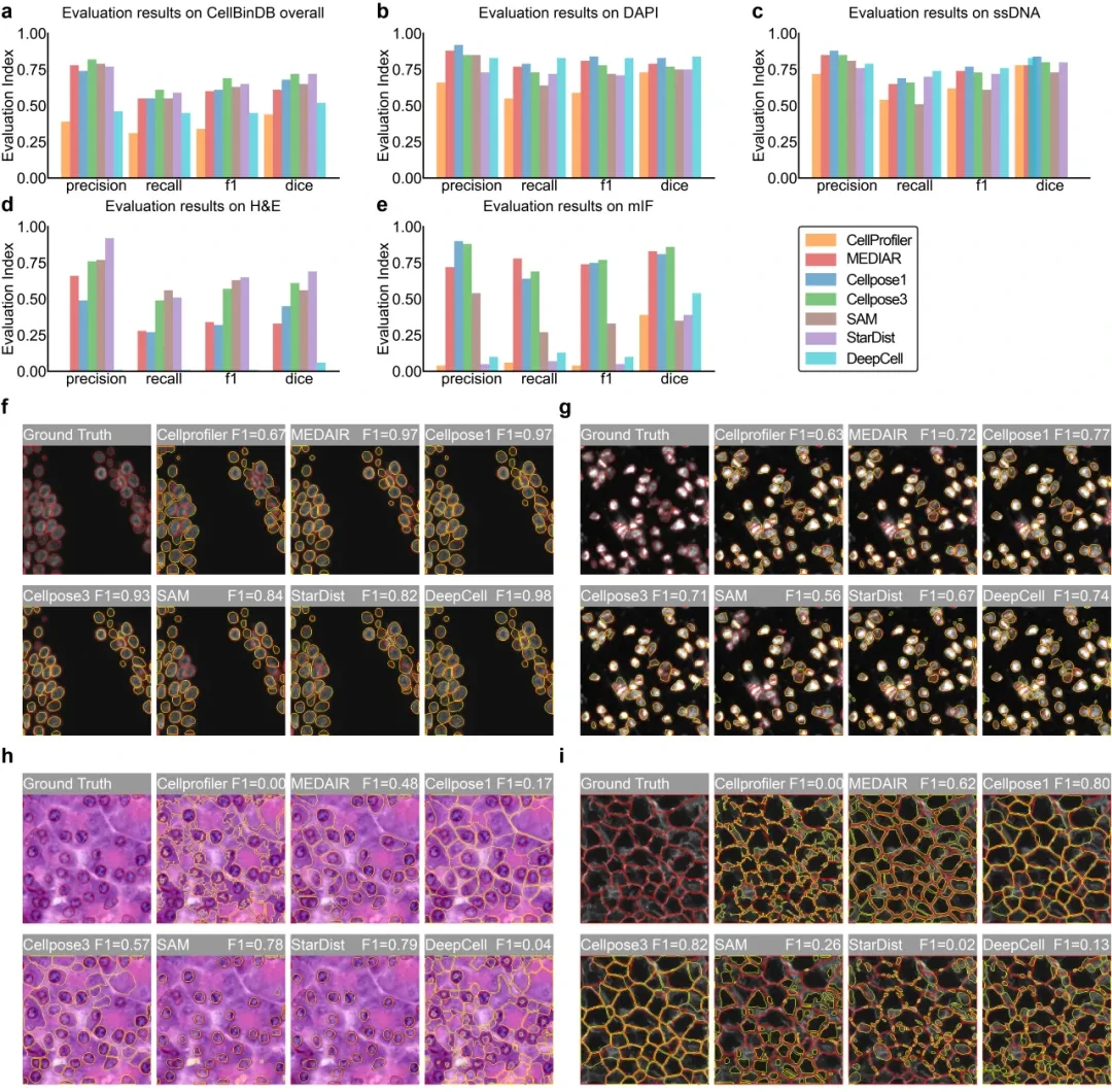 CellBinDB：大规模多模态数据集助力细胞分割模型开发与评估 - 哔哩哔哩