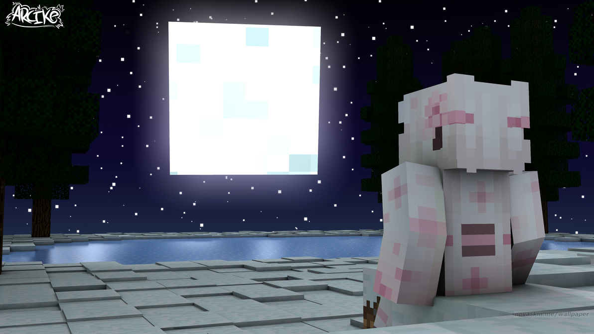 Nova Skin——一个有点好用的MC工具网站 - 哔哩哔哩