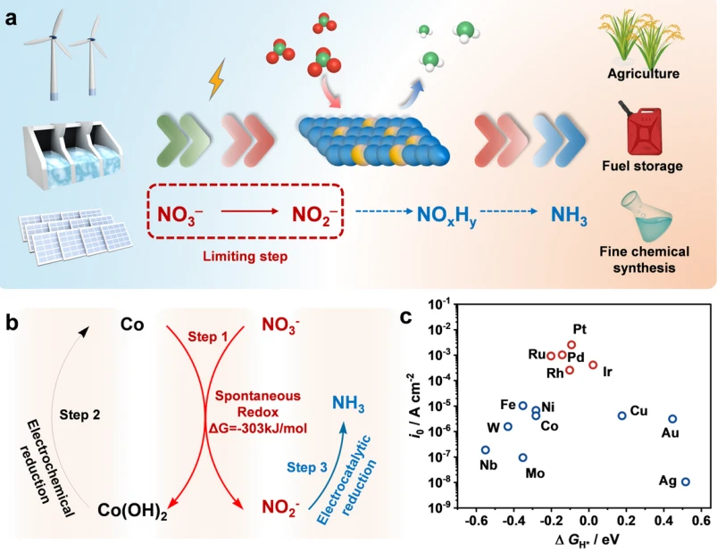 新进展||电催化硝酸盐还原成NH3 - 哔哩哔哩