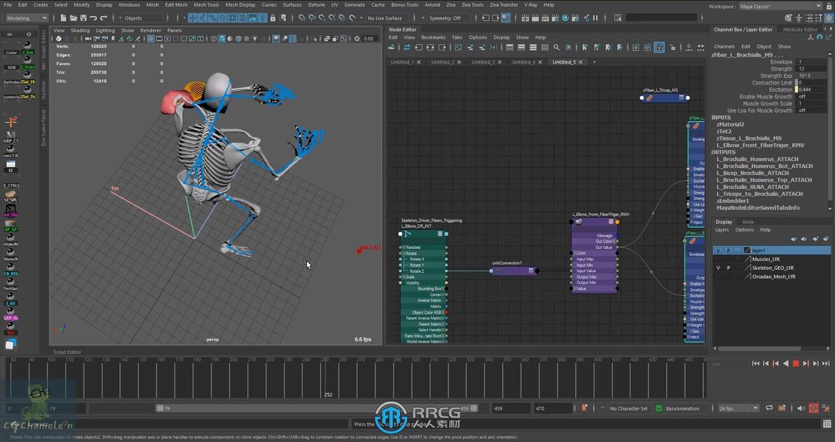 ZIVA Dynamics角色绑定动画大师级训练视频教程 - 哔哩哔哩