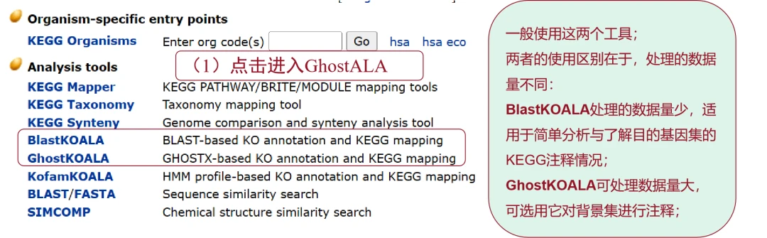做完蛋白质谱后的KEGG、GO分析 - 哔哩哔哩
