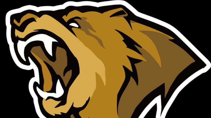 LVG哥本哈根major夺冠之路 - 哔哩哔哩