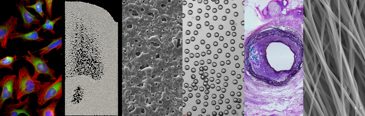 ImageJ | 2024年你一定要学的四个自动化 - 哔哩哔哩