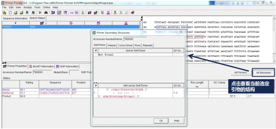 Primer Premier 6，3分钟教你完成引物设计（含软件安装） - 哔哩哔哩