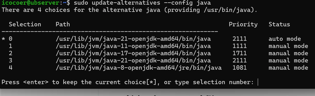在ubuntu server下使用mcsm搭建Minecraft Java服务器 - 哔哩哔哩