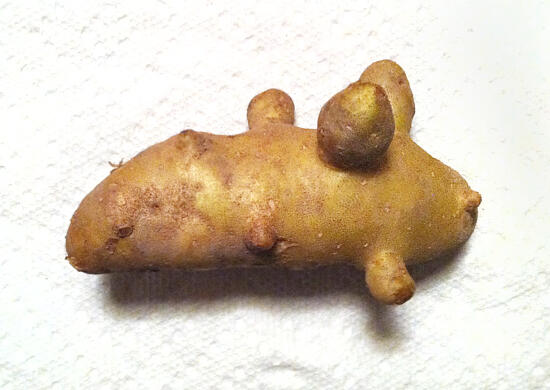 SCP-1689 Bag of Holding Potatoes - 哔哩哔哩