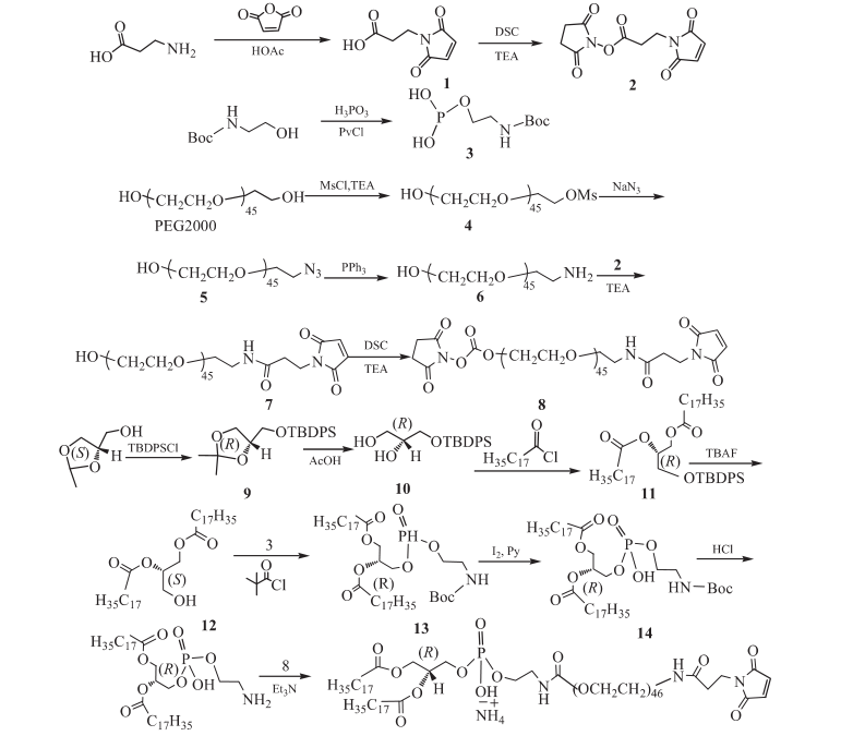 474922-22-0，DSPE-PEG2000-MAL 呈白色粉末状，可溶于水和大部分有机溶剂 - 哔哩哔哩