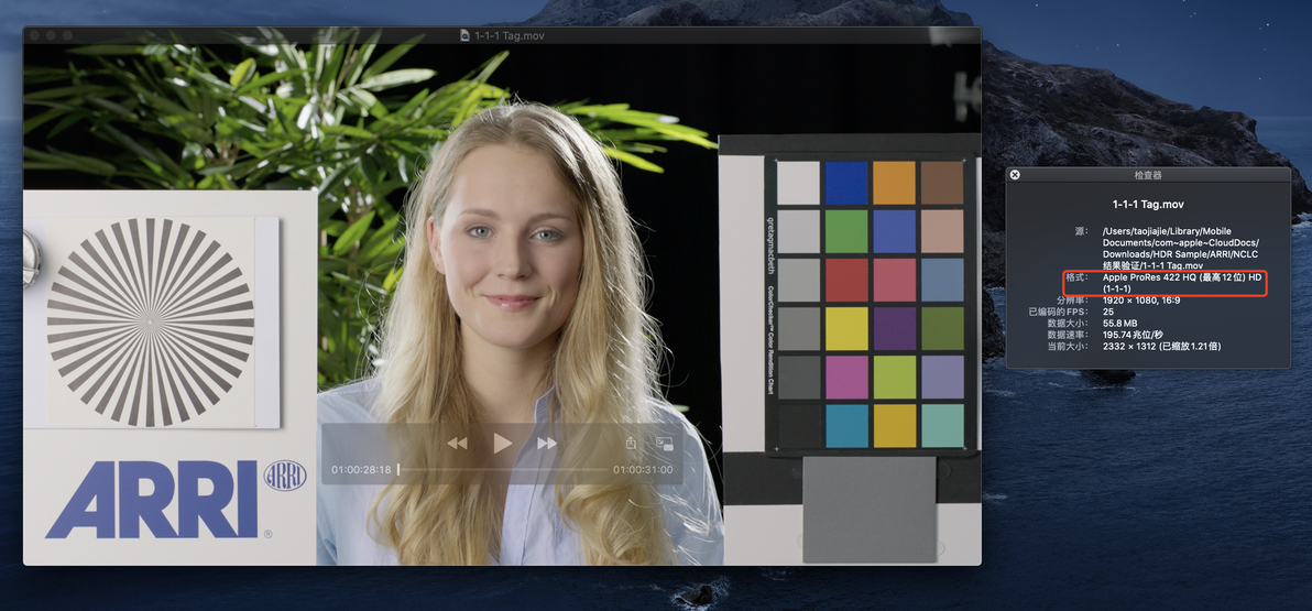 更新Resolve 16.2后，如何在macOS让不同软件显示调色画面结果一致（尤其是Quicktime） - 哔哩哔哩