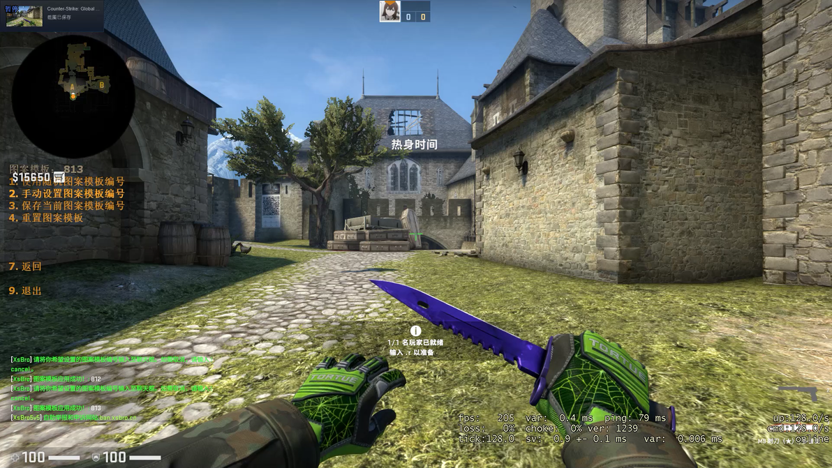 CSGO全部模板绿网手套一览（第一期） - 哔哩哔哩