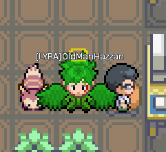 PokeMMO技能获取 - 哔哩哔哩