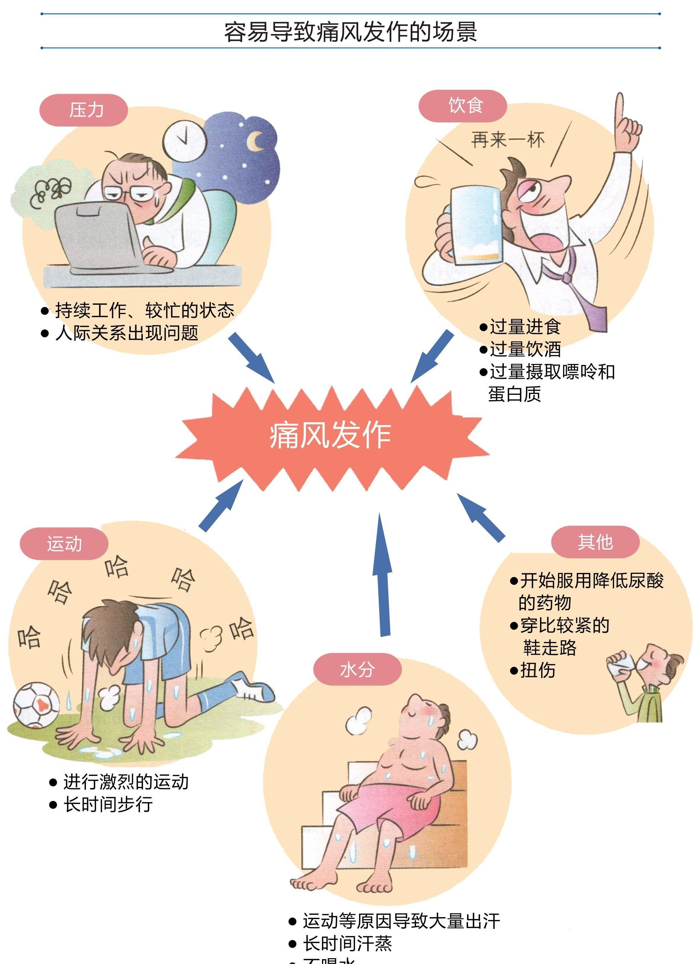 引发痛风的原因 哔哩哔哩