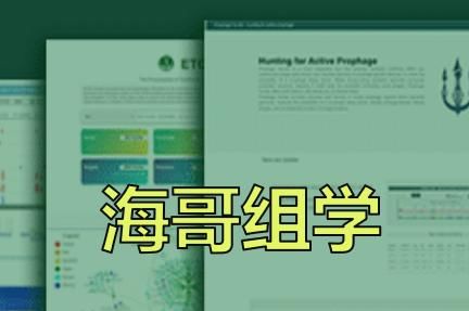 多序列比对软件Jalview的安装及使用体验 - 哔哩哔哩