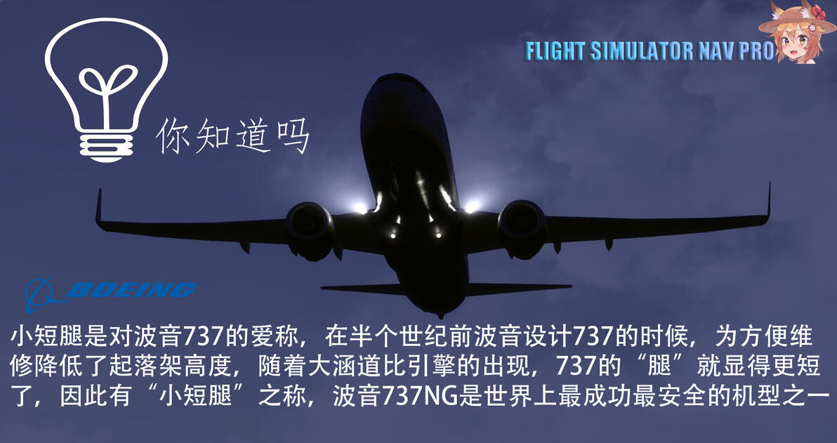 [B站最全的专业模拟飞行入门导航][软件详细介绍与下载]P3D-01：不是游戏，是模拟器。 - 哔哩哔哩