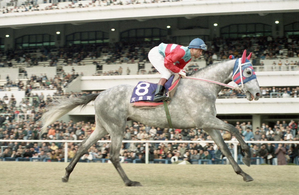 【全图鉴】日本JRA年度代表马（1954-2022） - 哔哩哔哩