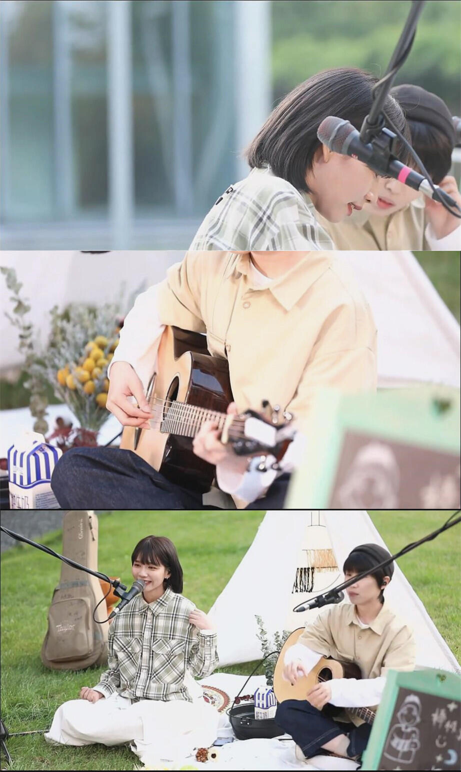 最新【房东的猫】 手机/电脑壁纸（无水印 自取） - 哔哩哔哩