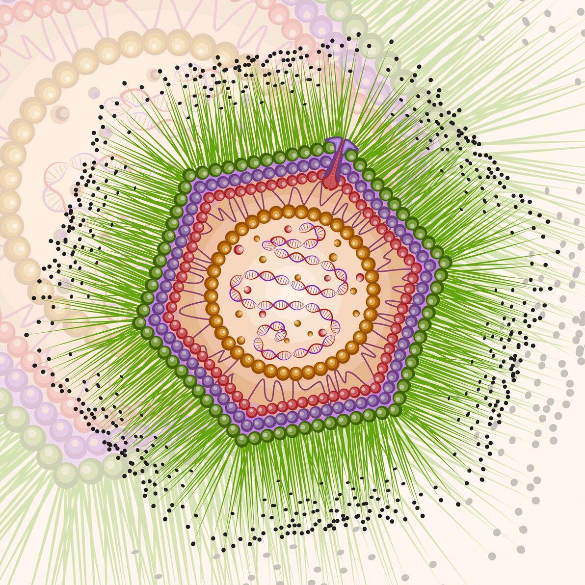最大的球状病毒——巨大病毒(Megavirus) - 哔哩哔哩