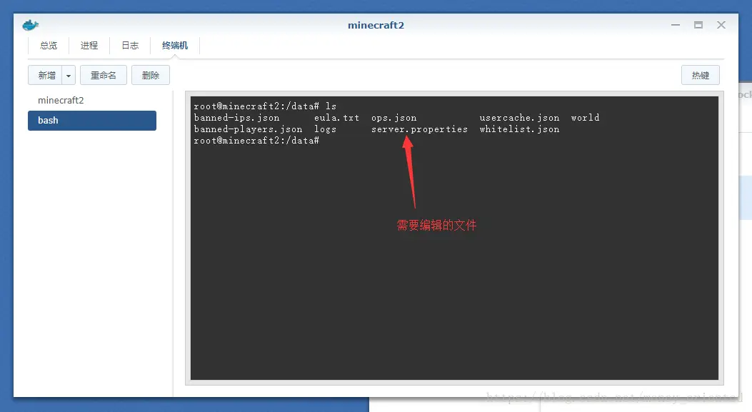 【NAS-群辉玩机之旅-Docker】Minecraft服务器安装 - 哔哩哔哩