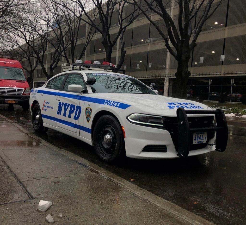 [专栏]事NYPD警察 - 哔哩哔哩